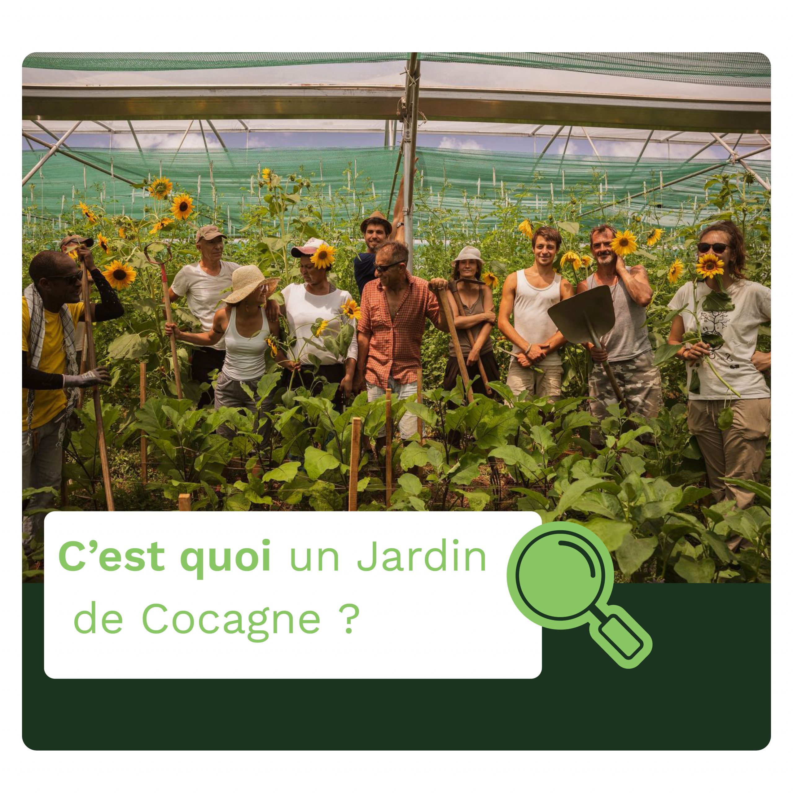 Mieux comprendre nos actions : Qu'est-ce qu'un Jardin de Cocagne ...